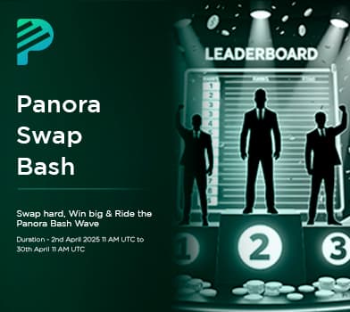 Panora Swap Bash